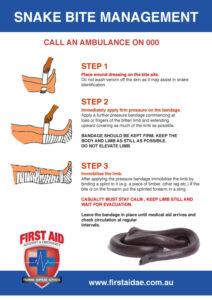 Snake Bite First Aid Kit Australia
